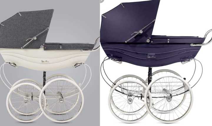 Top 10 most expensive stroller brands in the world - Briefly.co.za