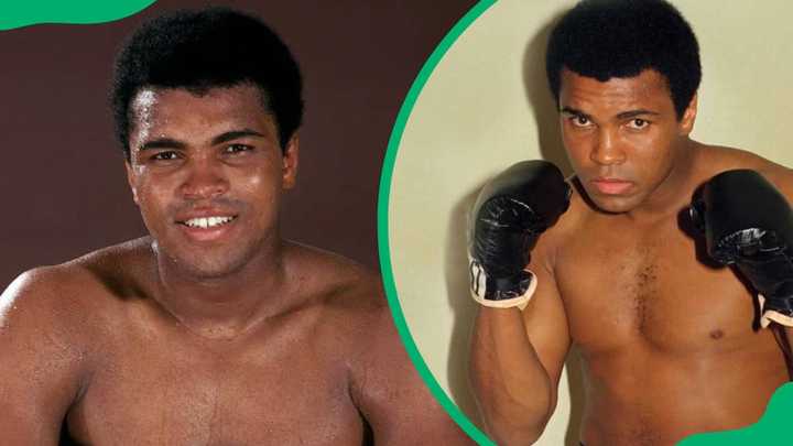25 famous people who changed the world and impacted history - Briefly.co.za