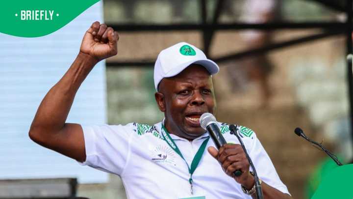 MKP’s Mary Phadi Calls for Suspension of Dr John Hlophe After Sexual ...