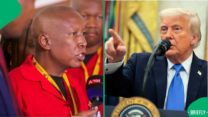EFF President Julius Malema Responds to Donald Trump Calling for His ...