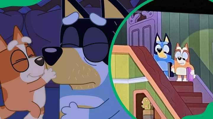 Heart-wrenching sad Bluey episodes that will make you cry - Briefly.co.za