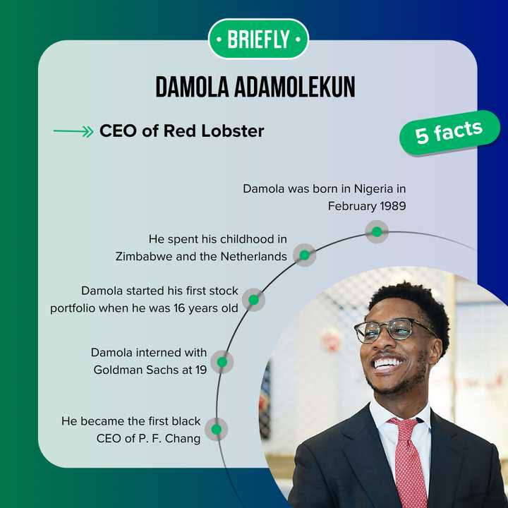 Damola Adamolekun's net worth: From Harvard grad to Red Lobster CEO ...