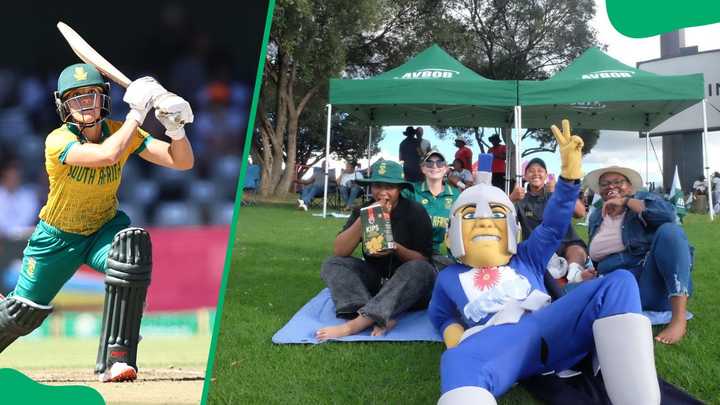 Best things to do in Centurion: Parks, markets & hidden gems - Briefly ...