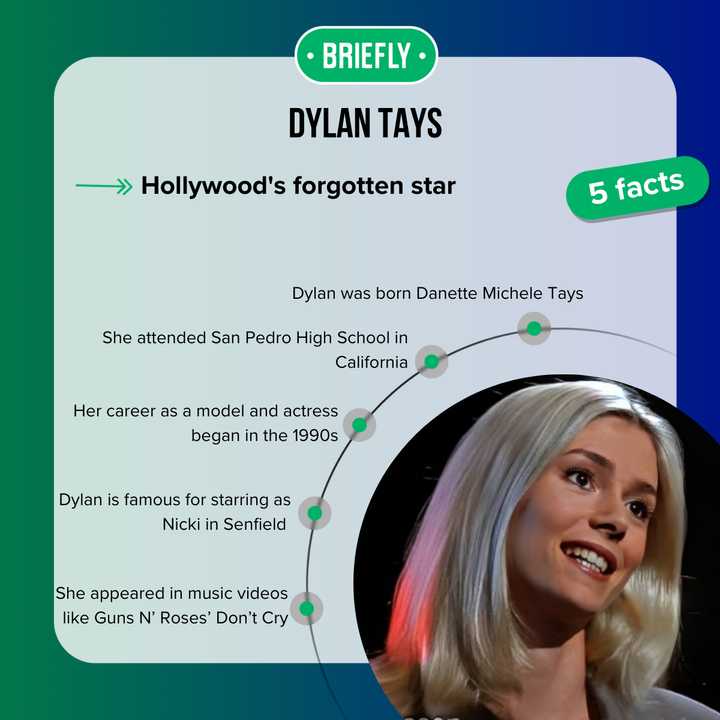 Who is Dylan Tays? Meet Hollywood's forgotten star - Briefly.co.za