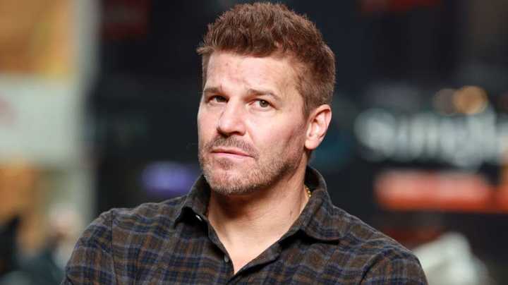 Who is Boreanaz's ex-wife, Ingrid Quinn? Everything we know - Briefly.co.za