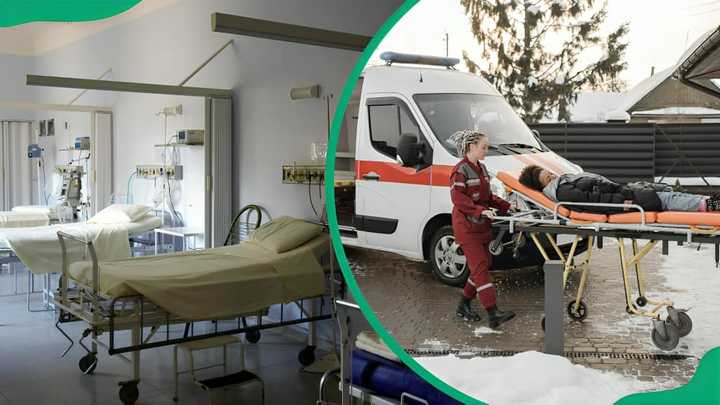 GEMS medical aid scheme: Get a detailed overview for 2024 - Briefly.co.za