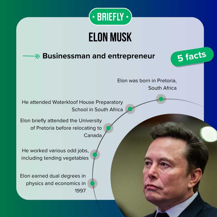 What are Elon Musk's degrees? He dropped out of Stanford after only two ...