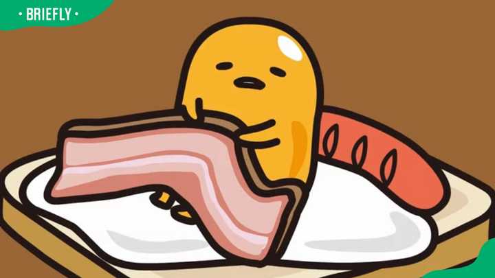 All Sanrio characters explained: from Hello Kitty to lesser-known ...