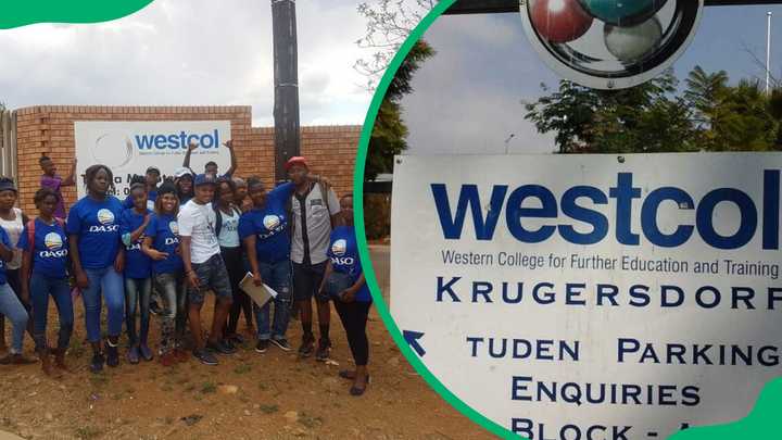 Westcol College's cheapest courses, application requirements and fees ...