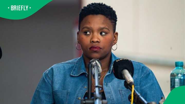 Joslin Smith Case: Cross-Examination of Lourentia Lombaard Continues ...