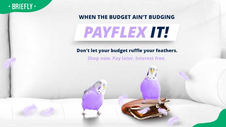 Does Bash have PayFlex and other buy now, pay later options for ...