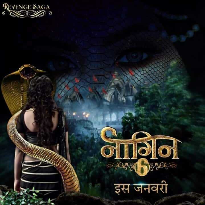TV3: Naagin 1, 2, 3 and 4: cast with images, plot summary, full story ...