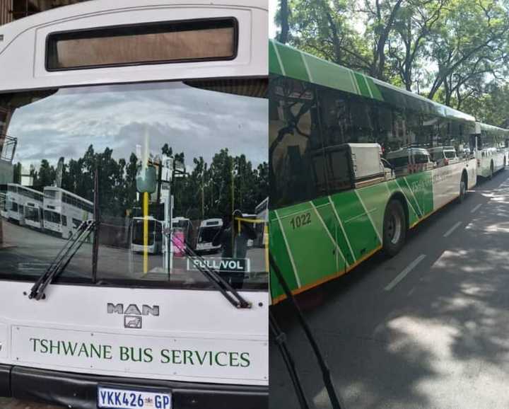 TUT bus registration requirements and procedure (guide) - Briefly.co.za