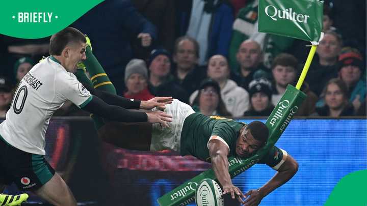 Springboks Punish Ill-Disciplined Ireland in Brutal Dublin Test as Boks ...