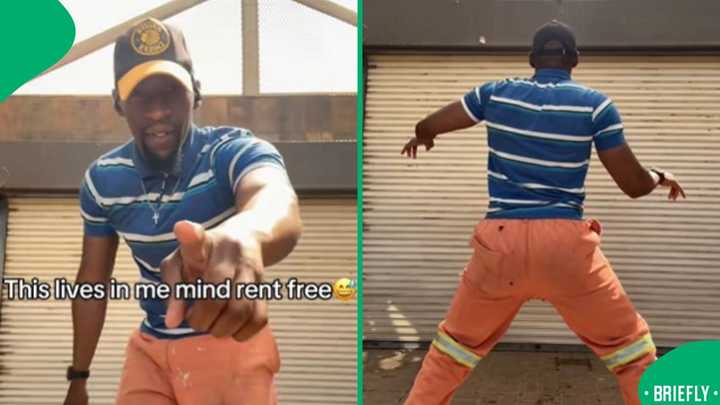 "Can't Get Enough of This": Grootman Breaks the Internet With Britney ...