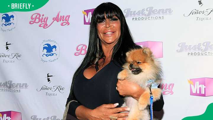Mob Wives: Where are they now? Updates on all the cast members ...