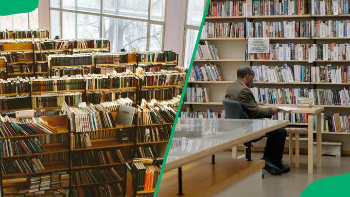 List of UNISA courses for 2024/2025: fees, requirements, contact ...