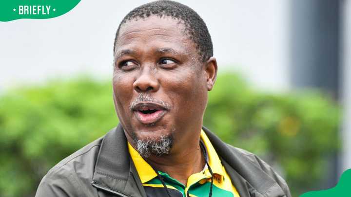 Who is Bheki Mtolo? From Kokstad mayor to ANC leadership - Briefly.co.za