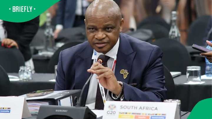 Presidency Defends Controversial Appointment of Advocate Mothibi as New ...