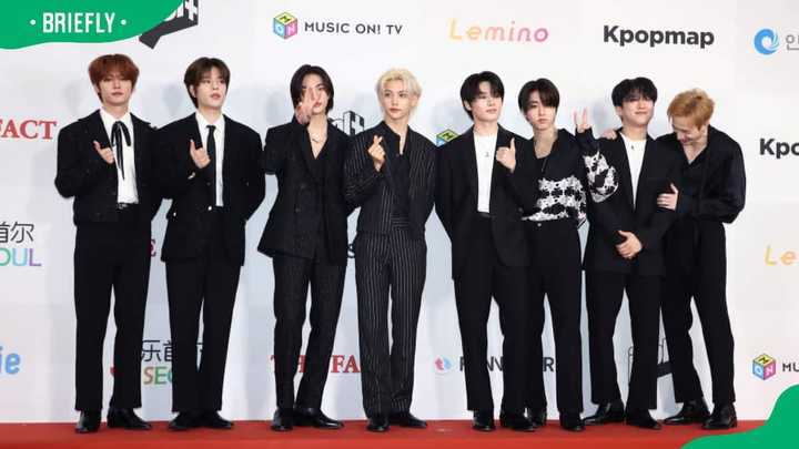 Stray Kids members: ages, families, height, profiles, net worth ...