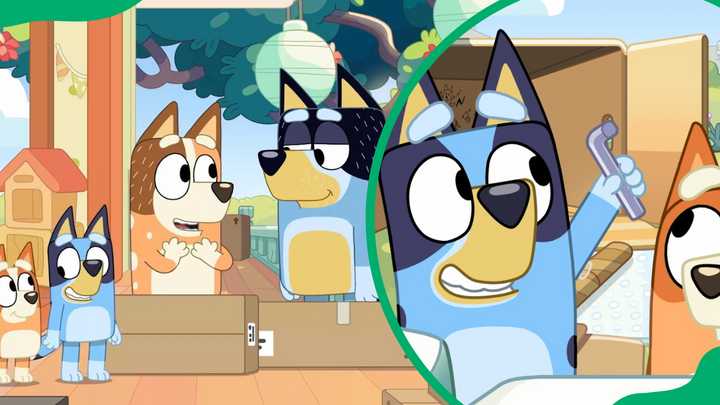 Heart-wrenching sad Bluey episodes that will make you cry - Briefly.co.za