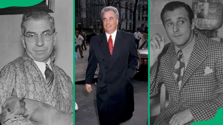 11 most famous mobsters who made history: Top names you should know ...