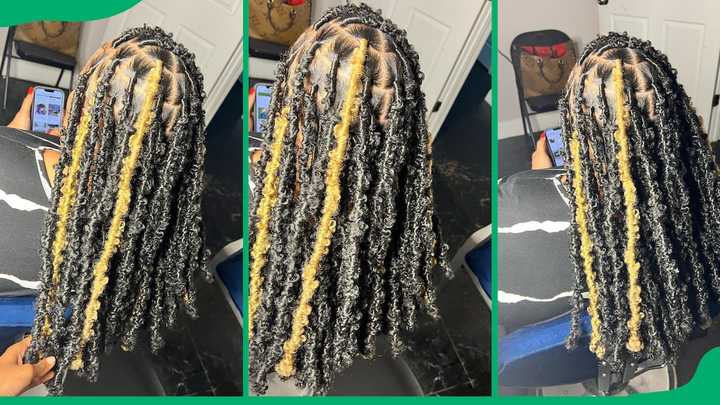 45 Butterfly locs hairstyles and everything you need to know - Briefly ...
