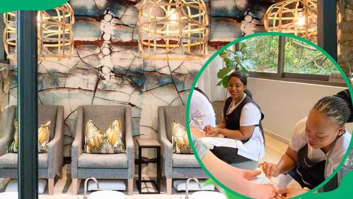 Top 16 things to do in Ballito: Discover the Dolphin Coast - Briefly.co.za