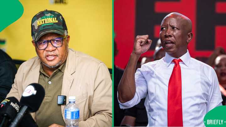 Fikile Mbalula Says Julius Malema More Dangerous Than DA, Says EFF Leader Will Fast-Track ANC ...