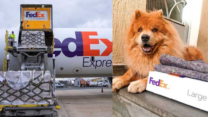 FedEx's contact number, address, locations, business hours in 2022 ...