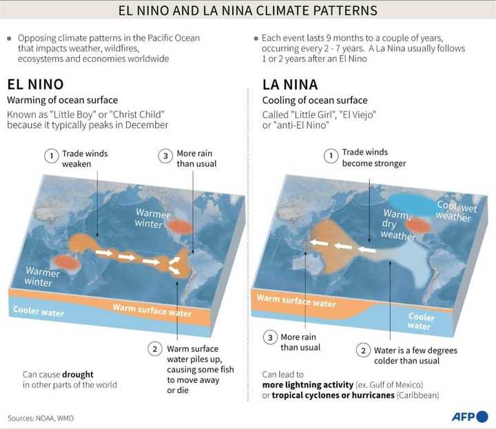 UN warns world to prepare for El Nino impact - Briefly.co.za