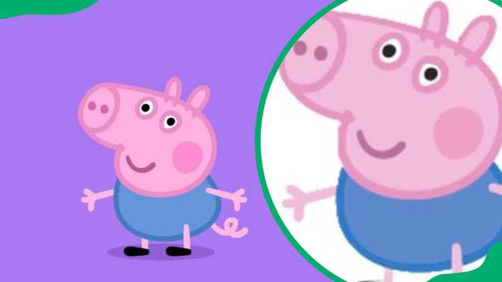 Meet the Peppa Pig characters: fun facts, pictures, and profiles ...
