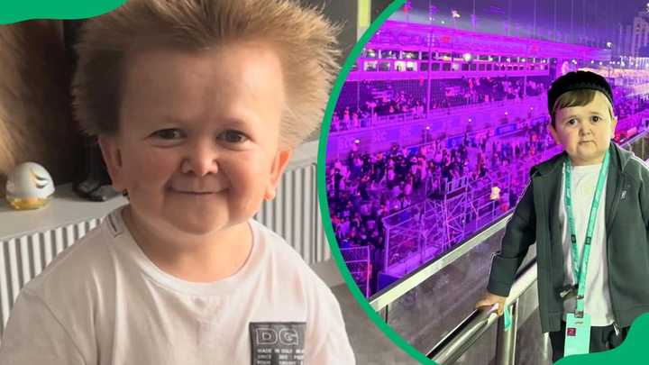 Hasbulla's net worth: A peek at Mini Khabib's fortune - Briefly.co.za