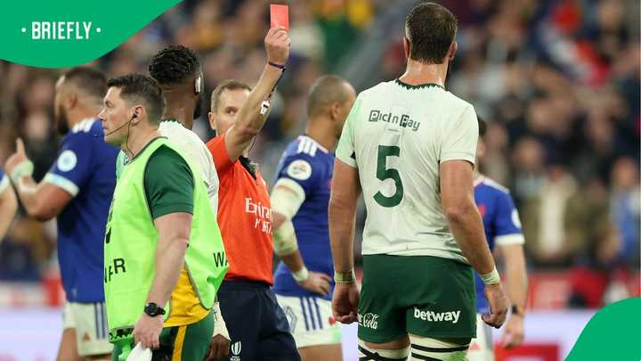 Franco Mostert Red Card: Wife Juan-Ri Speaks Out After Controversial ...