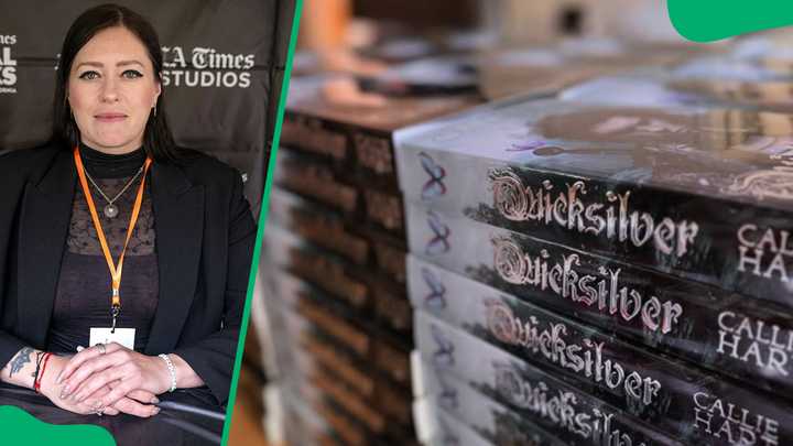 When is Quicksilver Book 2 coming out? Release and key updates ...