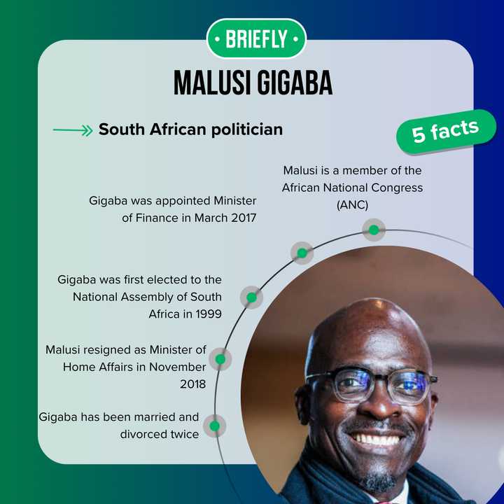 Meet Malusi Gigaba: from ANC Youth League president to cabinet minister ...