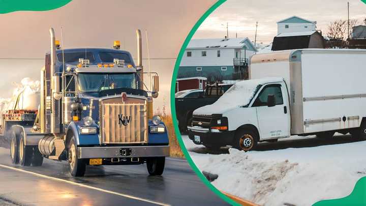 How to download the medical form for PDP and more (2024) - Briefly.co.za