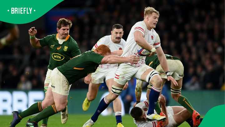 David Ribbans: England Star Now Eligible for Springboks Selection Ahead ...