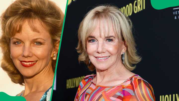 The full cast of Matlock: where are they now after 40 years? - Briefly ...