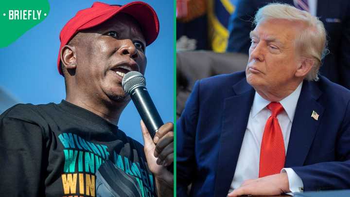 Julius Malema Dubs Donald Trump the 'New Hitler', EFF Leader Calls for ...