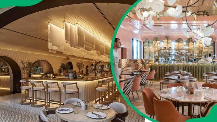 Tashas menu and prices in South Africa (updated for 2024) - Briefly.co.za