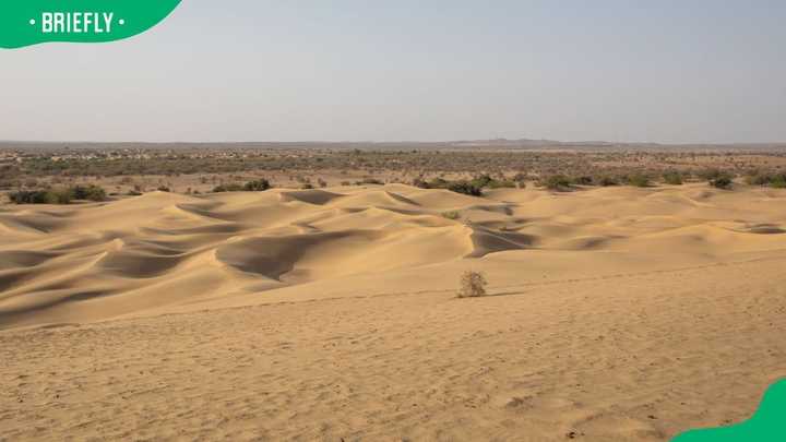 Top 9 driest deserts in the world and the reason behind it - Briefly.co.za