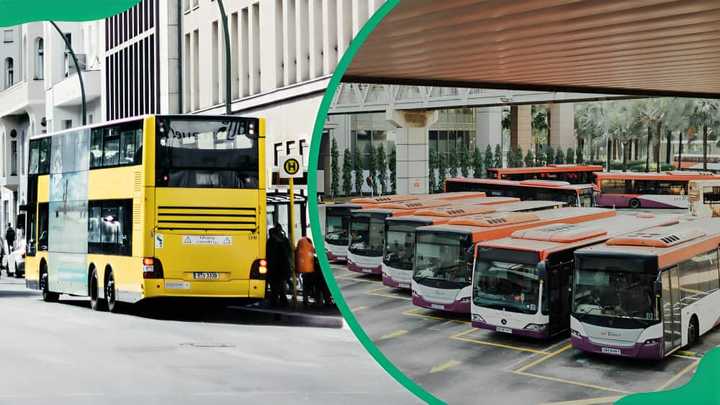 How to download the medical form for PDP and more (2024) - Briefly.co.za