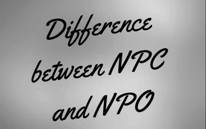 What is the difference between NPC and NPO that you should know ...