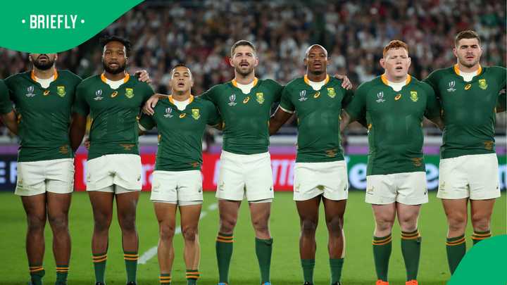 Springbok Legends Launch Beer Brand: “We Wanted to Build Something ...