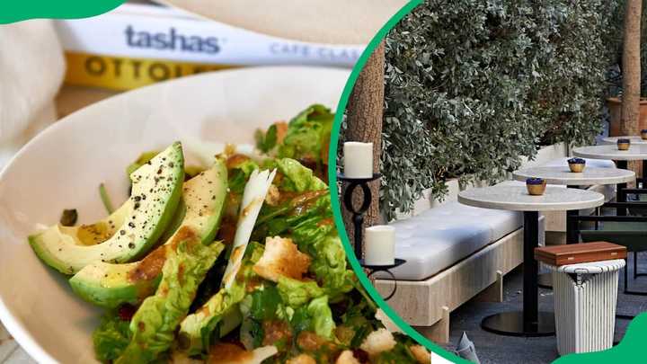 Tashas menu and prices in South Africa (updated for 2024) - Briefly.co.za