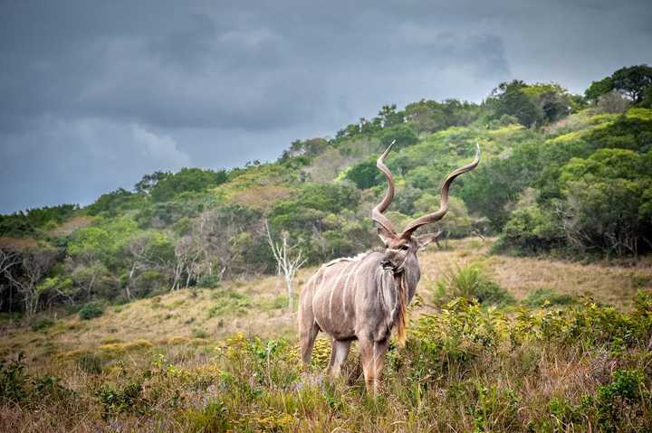10 best heritage sites in South Africa and their significance - Briefly ...