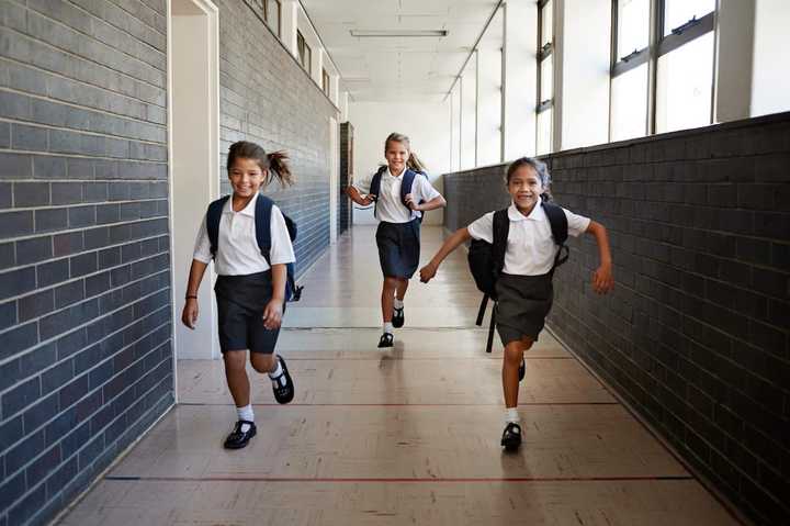 Here is a list of government primary schools in Gauteng (2025 ...