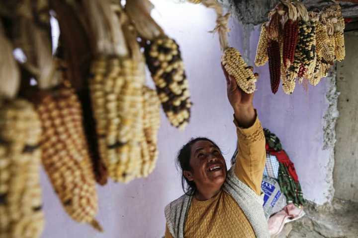'We need information' plead Peru farmers battling drought, climate ...