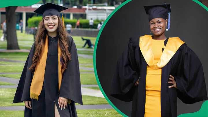 TUT courses available for 2024-2025: complete list with faculties ...